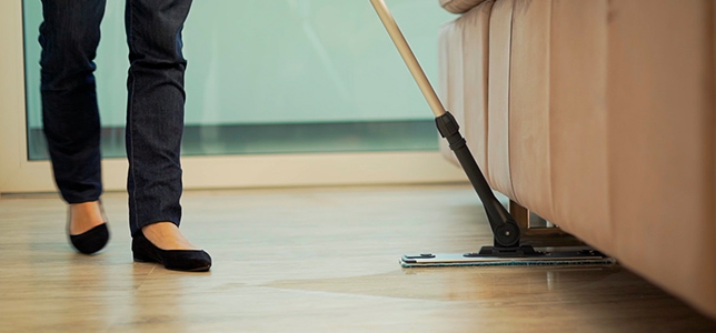 Polti Moppy: the cordless steam cleaner