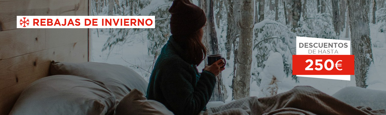 Planchado y limpieza a vapor. Limpieza profesional - Polti